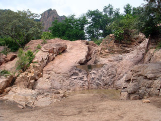 Venture Pal Advs: Amirthi Forest, Vellore